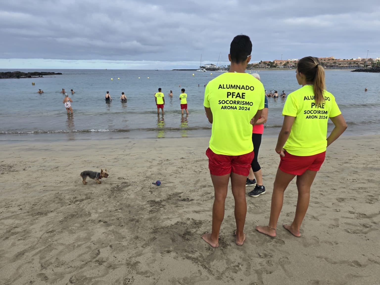 El Ayuntamiento de Arona pone en marcha dos programas públicos de ...